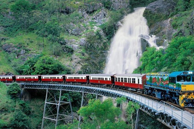 Kuranda Scenic Railway & Skyrail Tour from Port Douglas - The Itinerary: A Day of Contrasts and Views