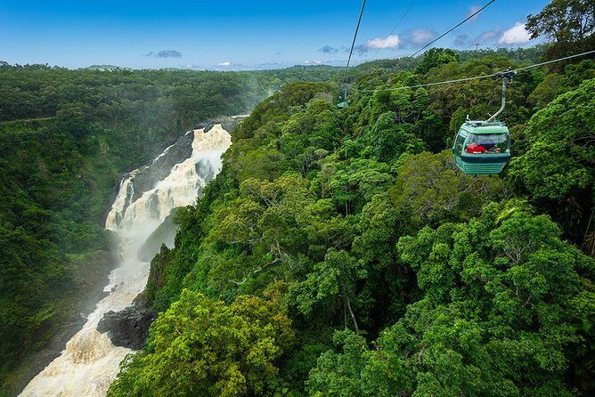 Kuranda Scenic Railway & Skyrail Tour from Port Douglas - Transportation and Group Size