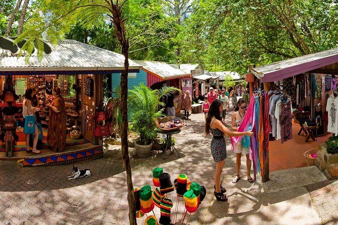 Kuranda Scenic Railway & Skyrail Tour from Port Douglas - Critical Considerations