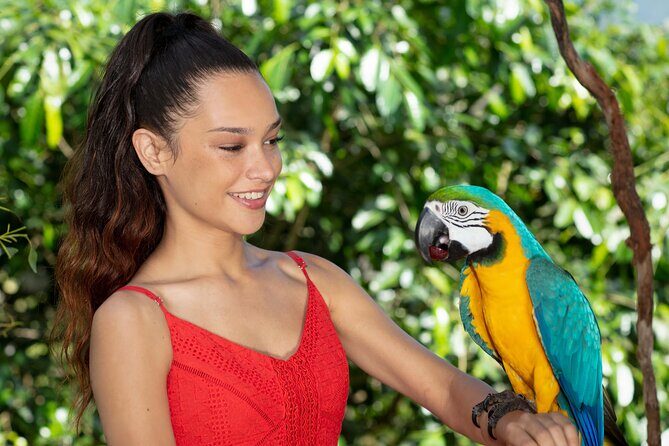 Kuranda Wildlife Experience Deluxe Multi Attraction Pass - An Honest Look at the Kuranda Wildlife Experience Deluxe Multi Attraction Pass