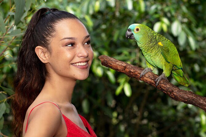 Kuranda Wildlife Experience Deluxe Multi Attraction Pass - The Practicalities: Booking, Timing, and Experience