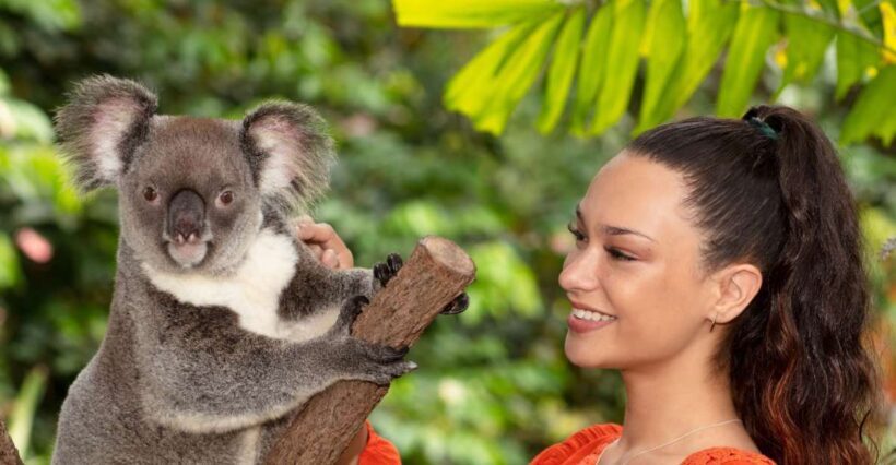 Kuranda Wildlife Experience: Koalas, Birds & Butterflies - Key Points