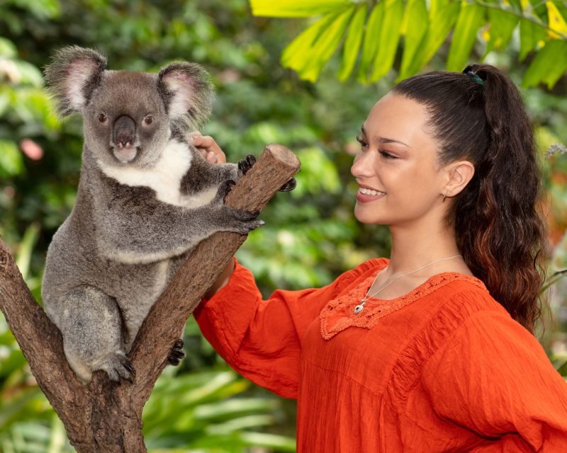 Kuranda Wildlife Experience: Koalas, Birds & Butterflies - An In-Depth Look at the Tour