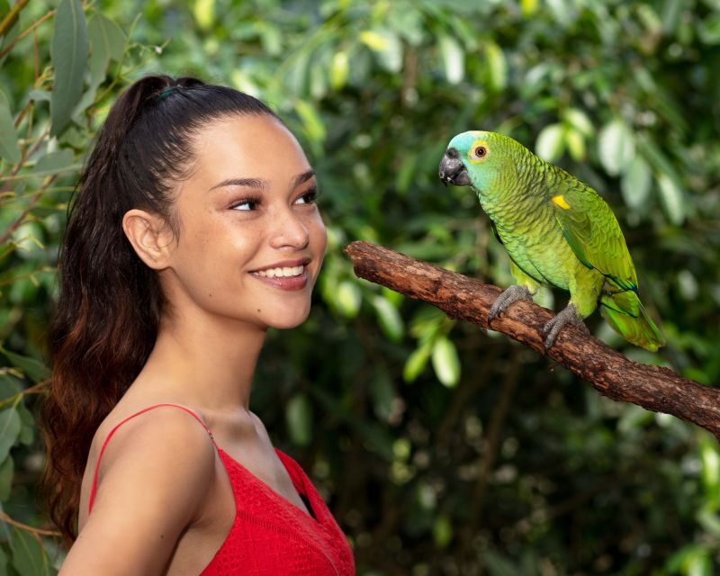 Kuranda Wildlife Experience: Koalas, Birds & Butterflies - The Value and Experience