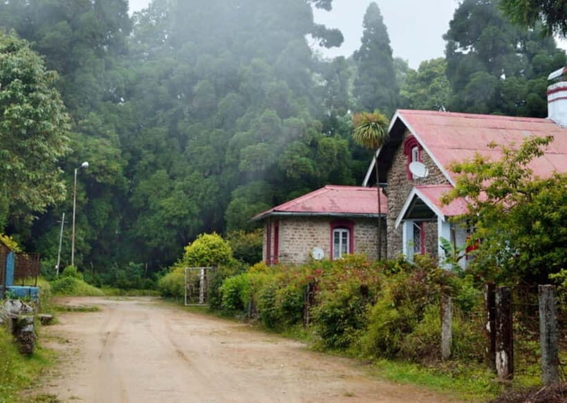 Kurseong: White Orchid Trail Hike with Hotel Pickup - The Return Journey and Drop-Off
