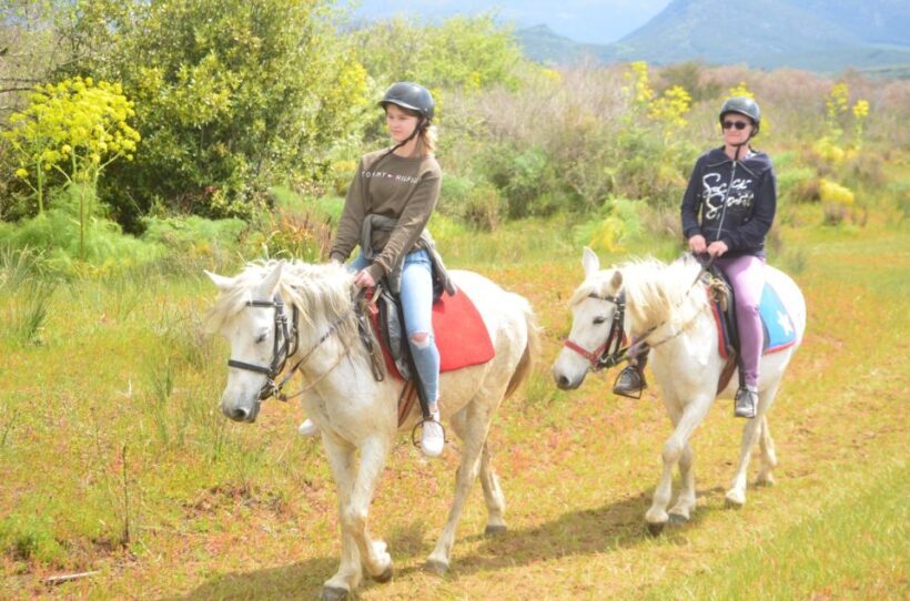 Kusadasi: Beach and Forest Horse Riding Tour - The Experience in Context: What It Means for You