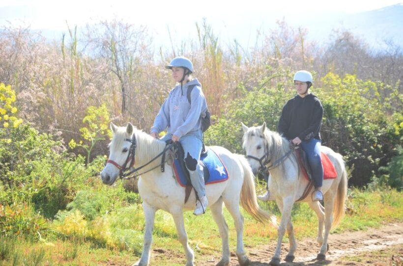 Kusadasi: Beach and Forest Horse Riding Tour - Real Insights from Reviews