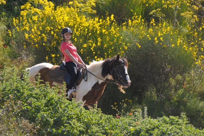 Kusadasi Horse Riding Beach and Forest With Transfer - Accessibility Considerations