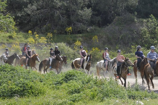 Kusadasi Horse Riding Beach and Forest With Transfer - Pricing and Cancellation Policy