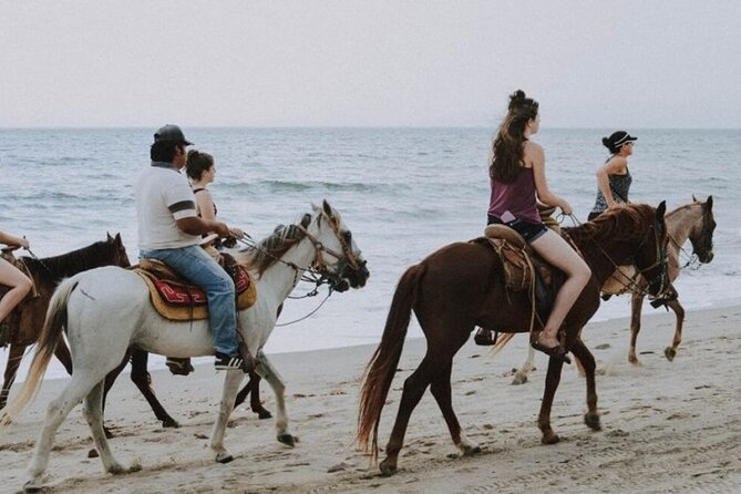Kusadasi Horse Riding On Beach And Through The River - Convenient Pickup and Introduction