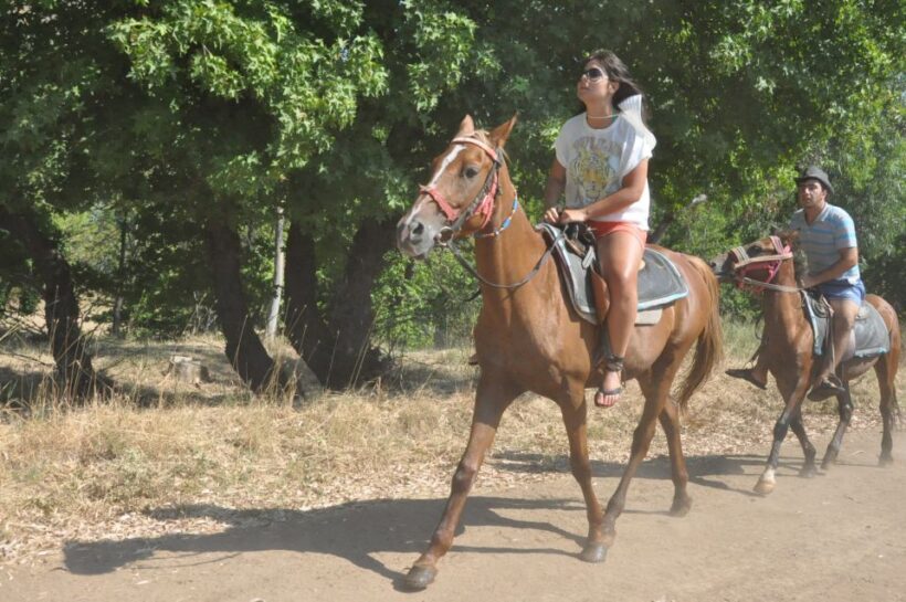 Kusadasi Horse Safari - What You Can Expect from the Experience