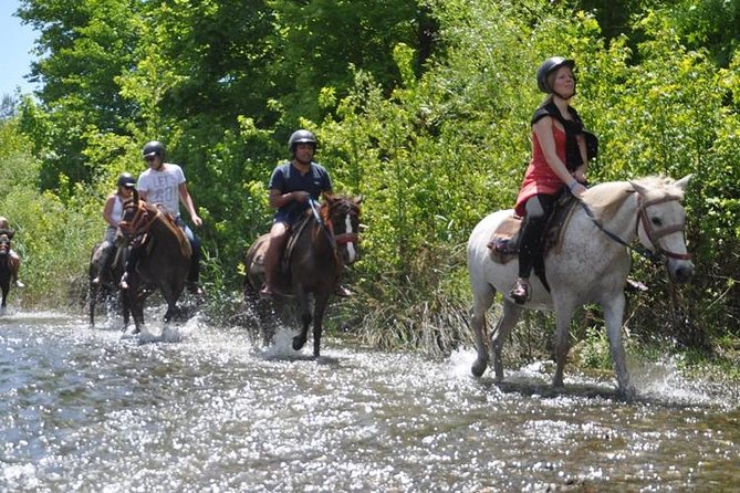 Kusadasi Horseback Riding - Who Should Consider This Tour?