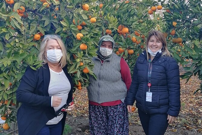 Kusadasi Port Private Ephesus Tour - Unique Tour Experience