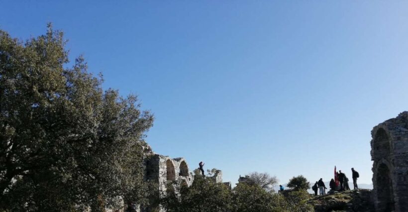 Kusadasi: Private Ephesus Tour For Cruisers - Introducing the Kusadasi: Private Ephesus Tour for Cruisers