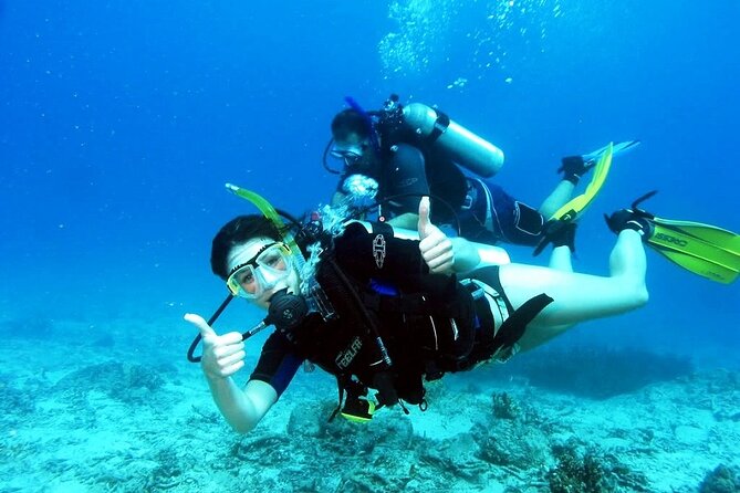 Kusadasi Scuba Diving - Who Should Consider This Tour?