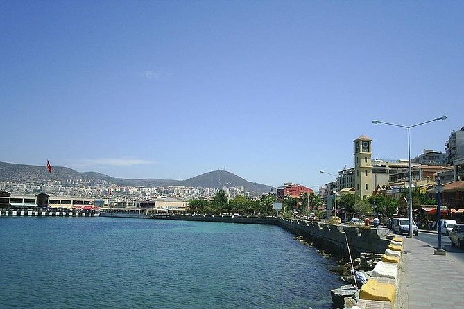 Kusadasi Shore Excursion: Private Tour to Ephesus Including Basilica of St John and Temple of Artemis - Pricing and Booking Information