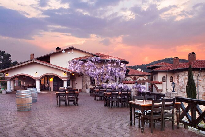 Kusadasi Shore Excursions Ephesus and Wine Tasting Tours - Meeting and Pickup Information