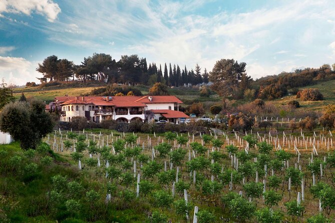 Kusadasi Shore Excursions Ephesus and Wine Tasting Tours - Discovering Local Crafts and Traditions