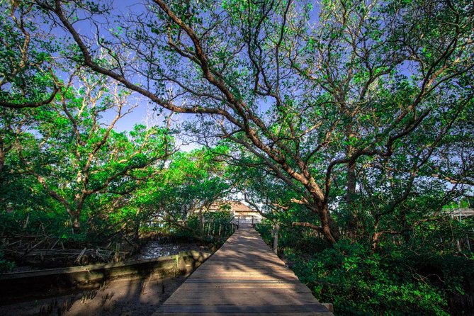 Kuta Beach eBike Private Tour - Who Should Consider This Tour?