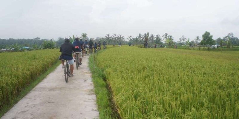 Kuta: Kintamani Culture and Nature Guided Cycling Tour - Detailed Breakdown of the Itinerary