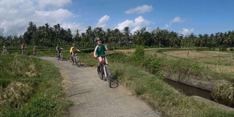 Kuta: Kintamani Culture and Nature Guided Cycling Tour - What Makes This Tour Stand Out?
