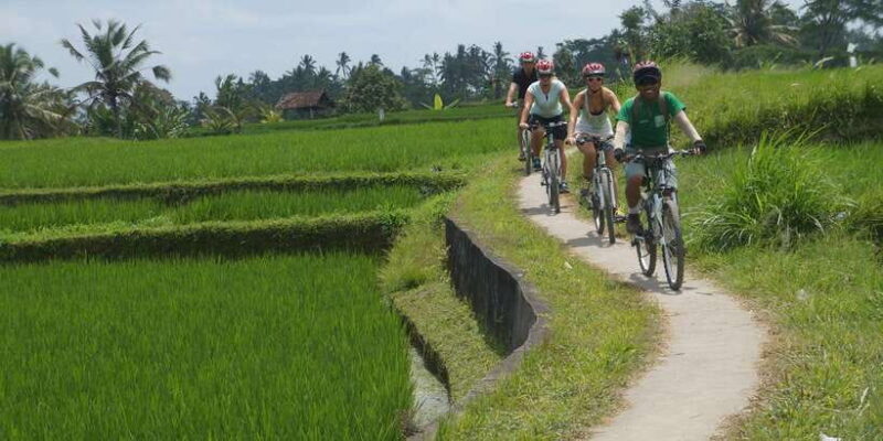 Kuta: Kintamani Culture and Nature Guided Cycling Tour - Who Will Enjoy This Experience?