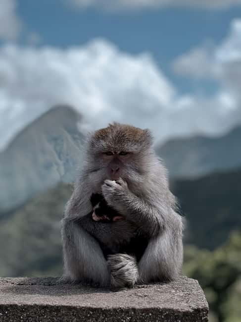 Kuta Lombok: Tiwu Kelep Waterfall and Monkey Forest Tour - Final Thoughts