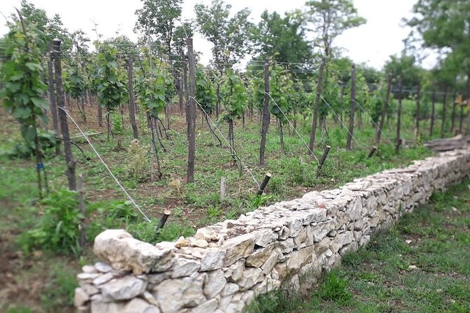 Kutaisi, Prometheus Cave and Wine tour - Final Thoughts