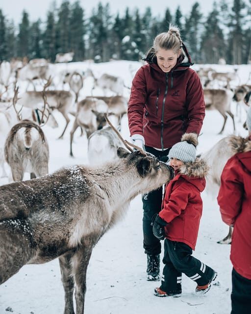 Kuusamo: Reindeer Farm Visit - Who Should Consider This Experience?