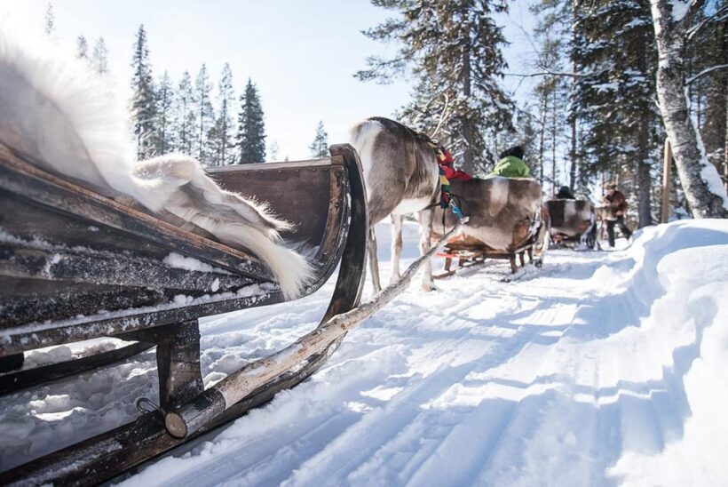 Kuusamo: Reindeer Sleigh Ride and Farm Visit - Experience Overview