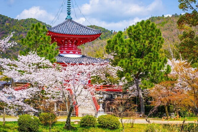Kyoto: 1.5 Hour Nishiki Market Private Tour with 3 Tastings - Who Would Love This Tour?