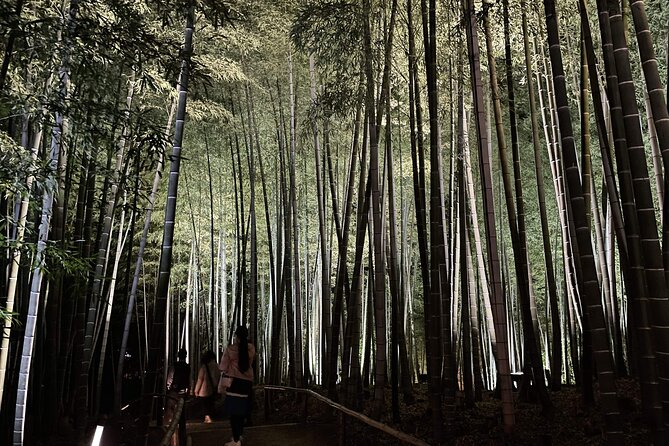 Kyoto 1 Day Golden Route Bus Tour - Discovering Tenryuji Temple