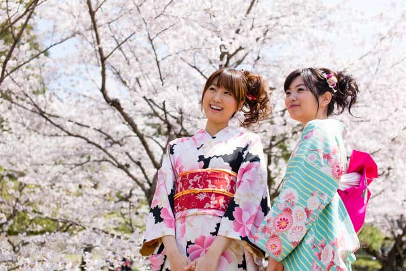 Kyoto: 1 Day:Traditional Japanese Kimono Rental Experience - An In-Depth Look at the Kyoto Kimono Rental Experience