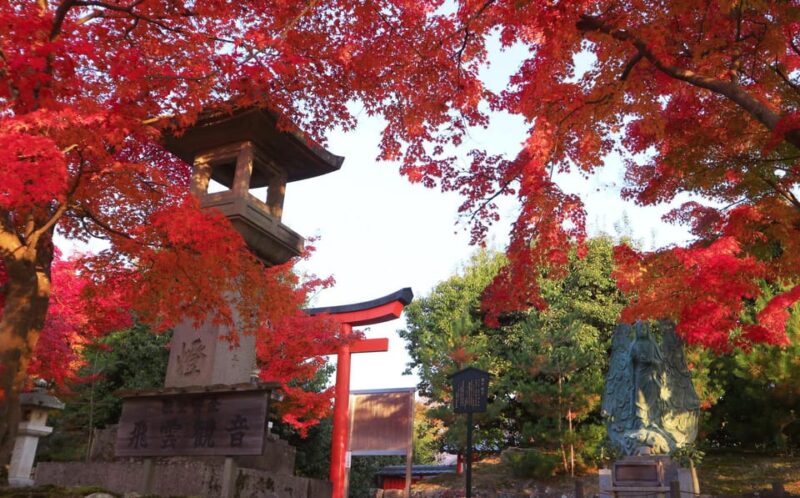 Kyoto: 2-Hour Guided Tour of Arashiyamas Autumn Leaves - Key Points