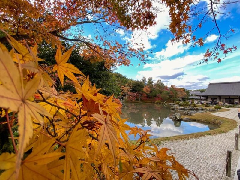 Kyoto: 2-Hour Guided Tour of Arashiyamas Autumn Leaves - Itinerary Details
