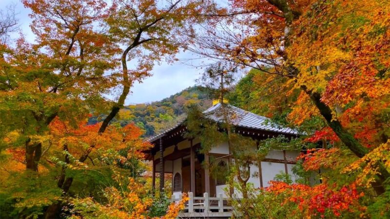 Kyoto: 2-Hour Guided Tour of Arashiyamas Autumn Leaves - Visiting Tenryuji Temple
