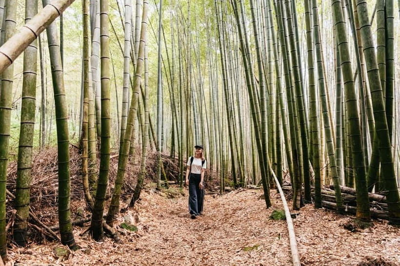 Kyoto: 3-Hour Fushimi Inari Shrine Hidden Hiking Tour - Why This Tour Is Worth It