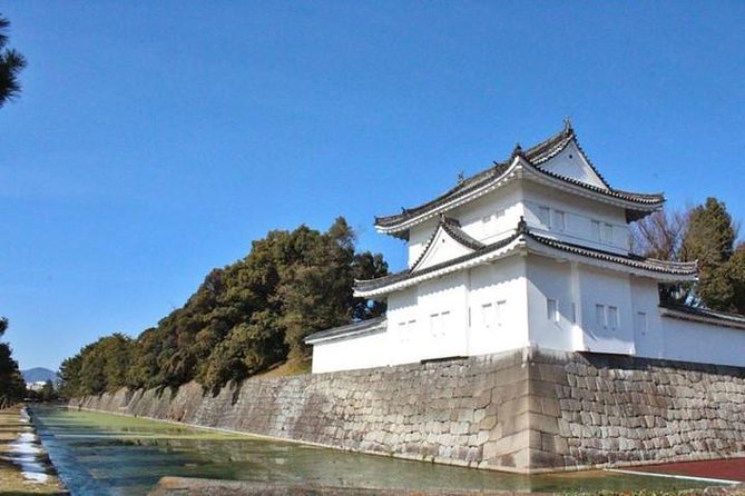 Kyoto 4hr Private Tour With Government-Licensed Guide - Accessibility and Participation