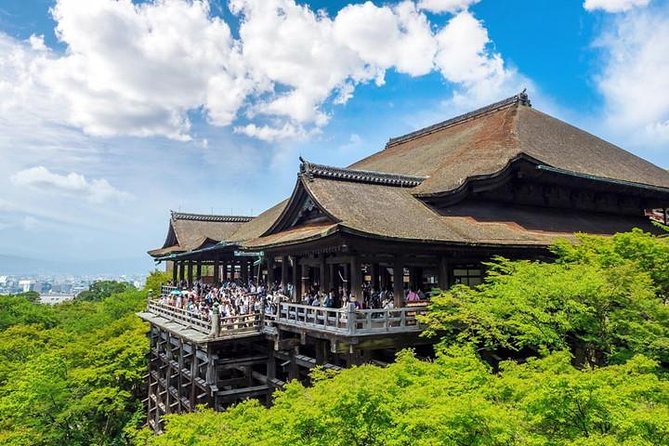 Kyoto 4hr Private Tour With Government-Licensed Guide - Customer Feedback and Ratings