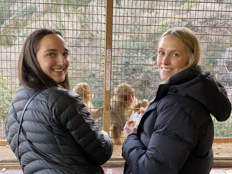 Kyoto: Afternoon Bamboo Forest and Monkey Park Bike Tour - Exploring the Bamboo Forest