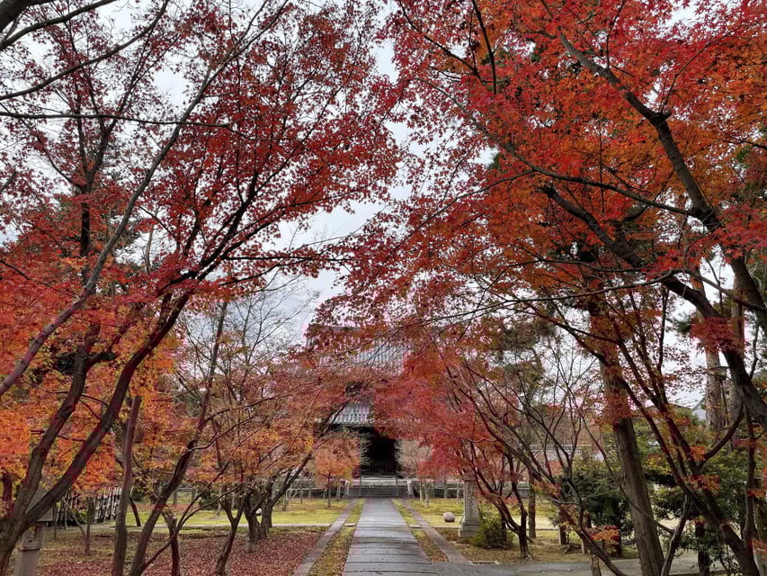 Kyoto: ALL Included Customized Sightseeing Tour With Local - Preparation and Important Information