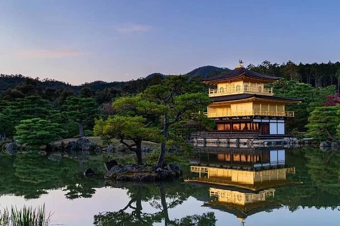 Kyoto and Nara Day Tour From Osaka and Kyoto - Feedback and Reviews