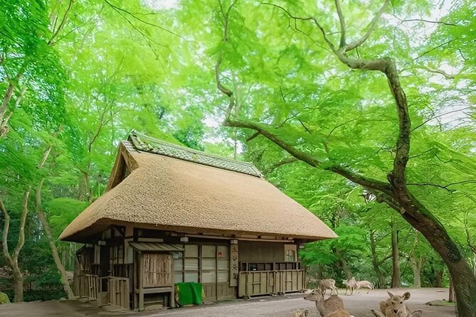 Kyoto and Nara Day Tour From Osaka and Kyoto - Booking and Reservations