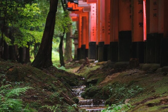 Kyoto and Nara Day Tour From Osaka and Kyoto - Common Questions