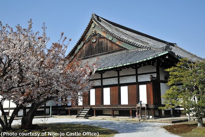 Kyoto and Nara Day Trip - Golden Pavilion and Todaiji from Osaka - The Sum Up