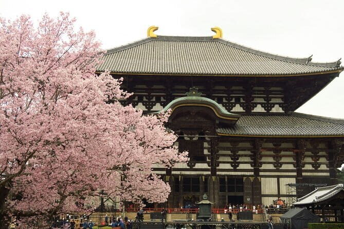 Kyoto and Nara Deer Sightseeing Day Trip From Osaka - Authenticity and Experience