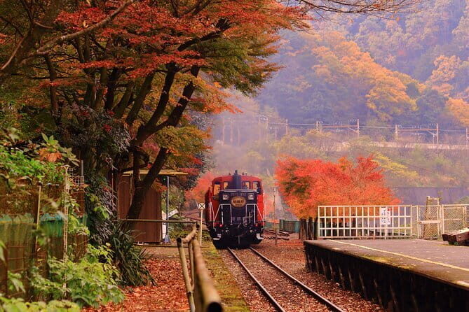 Kyoto and Nara Deer Sightseeing Day Trip From Osaka - Who Will Love This Tour?
