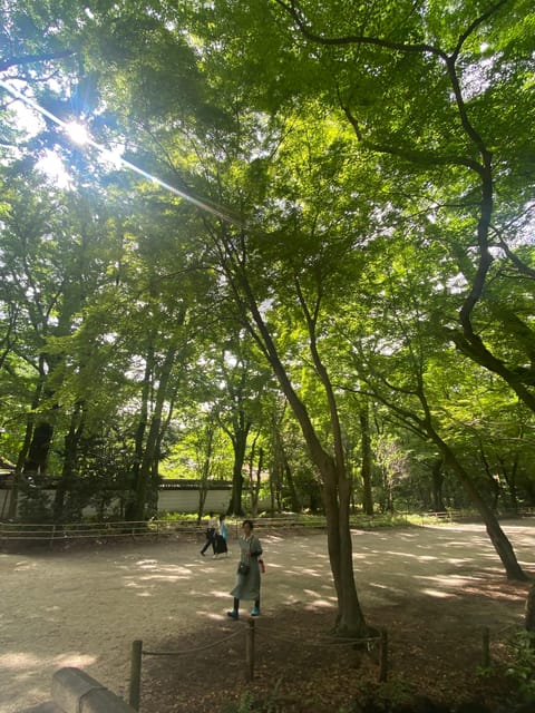 Kyoto and Nara: Discover Traditional Japan - Key Points