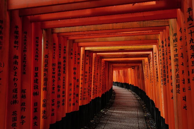 Kyoto and Nara in 1 Day in Fushimi Inari and Deer Park - Accessibility and Health