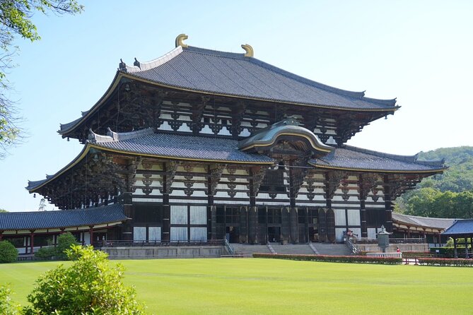 Kyoto and Nara in 1 Day in Fushimi Inari and Deer Park - Exploring Fushimi Inari Shrine